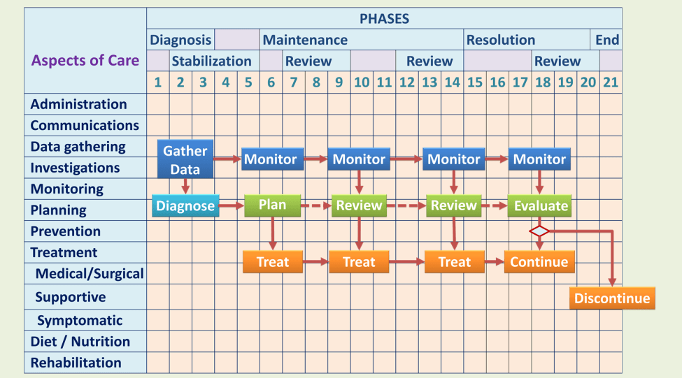 Clinical Care Processes and the Total Patient Care Concept | HEALTHCARE ...