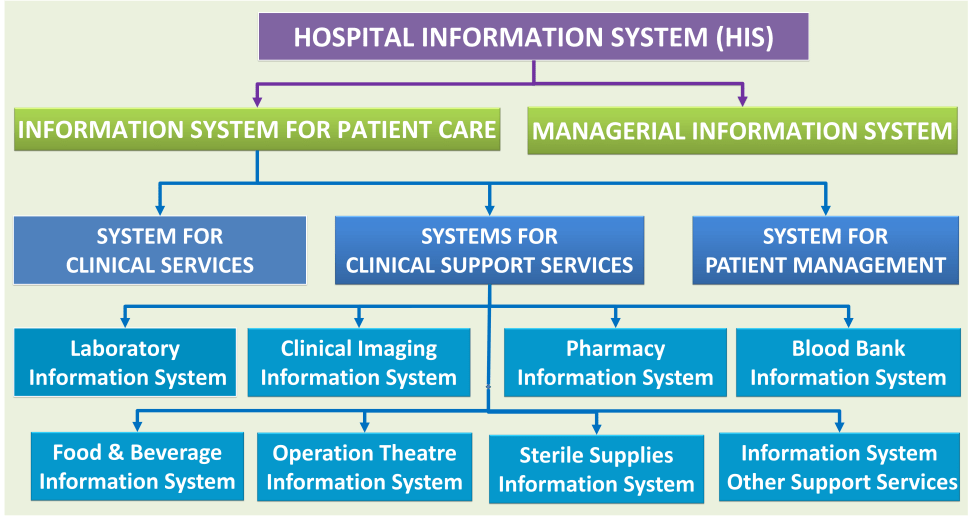 Information Systems in Healthcare | HEALTHCARE SERVICE DELIVERY