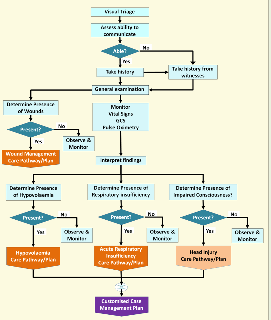 Development of Standard Operating Procedures and Care Plans IN CLINICAL ...