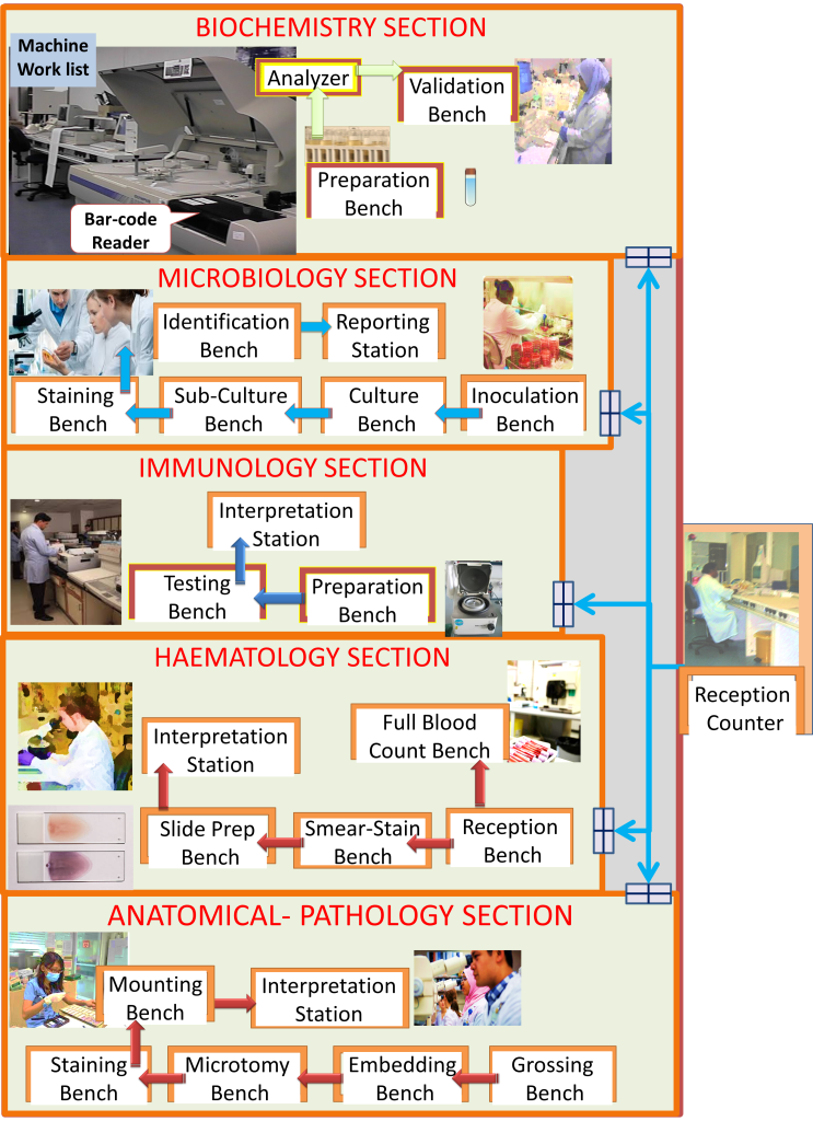 Laboratory Information System (LIS) | HEALTHCARE SERVICE DELIVERY