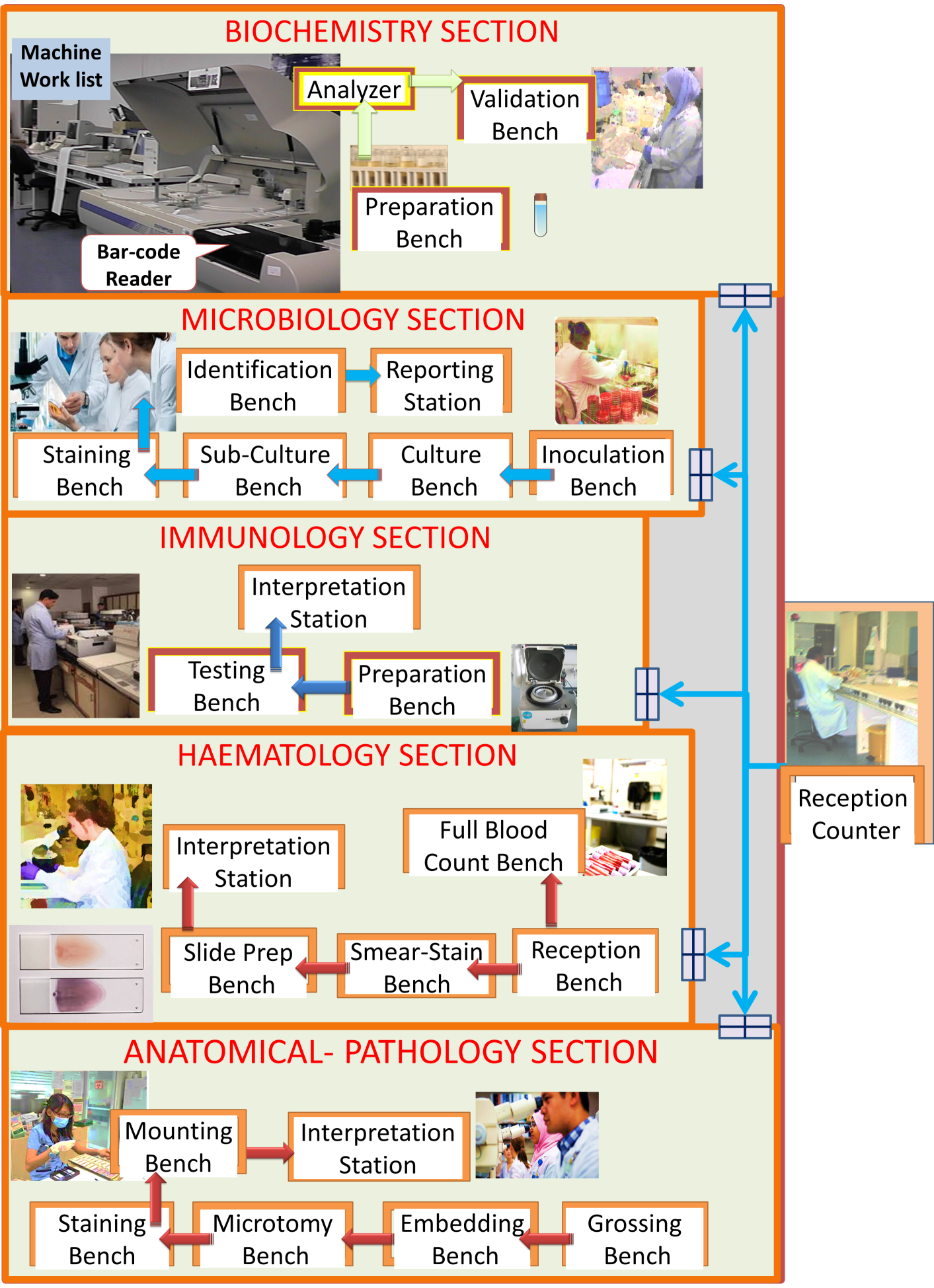Laboratory Information System (LIS) | HEALTHCARE SERVICE DELIVERY