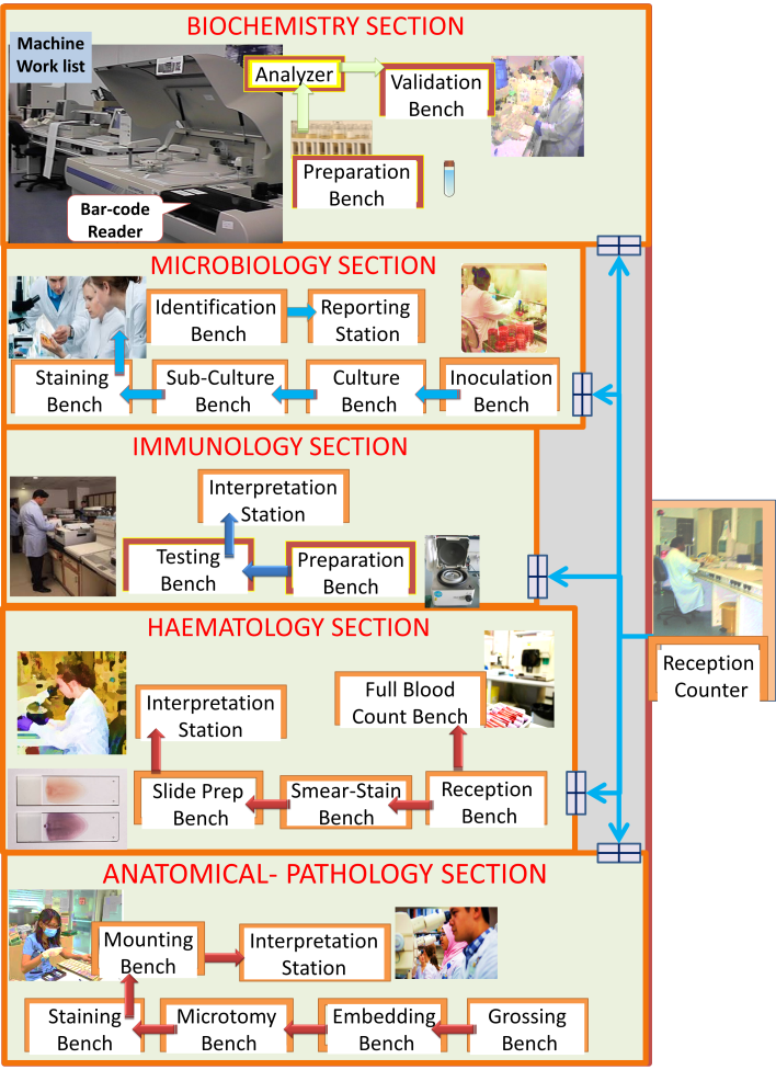Laboratory Information System (LIS) | HEALTHCARE SERVICE DELIVERY