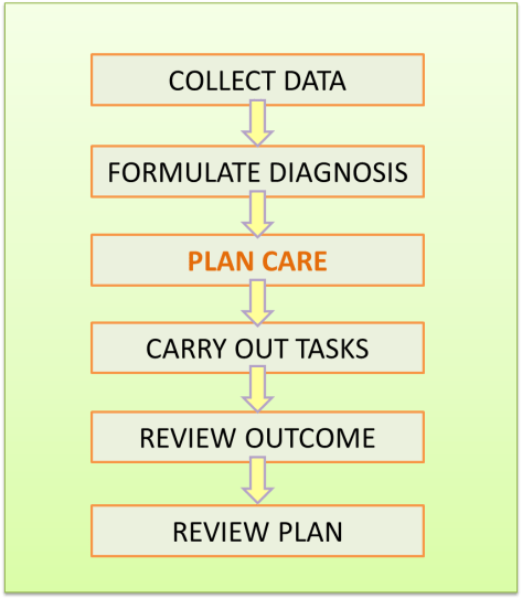 Standard Operating Procedures and Clinical Care Plans | HEALTHCARE ...
