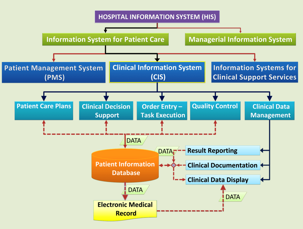 Information Systems in Healthcare | HEALTHCARE SERVICE DELIVERY