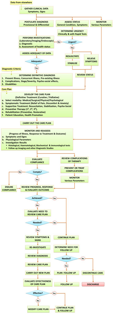 Clinical Care Processes and the Total Patient Care Concept | HEALTHCARE ...