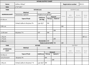 The Intake-Output Chart | HEALTHCARE SERVICE DELIVERY
