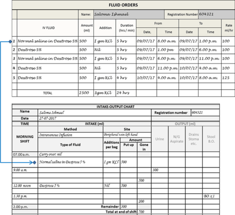 The Intake-Output Chart | HEALTHCARE SERVICE DELIVERY