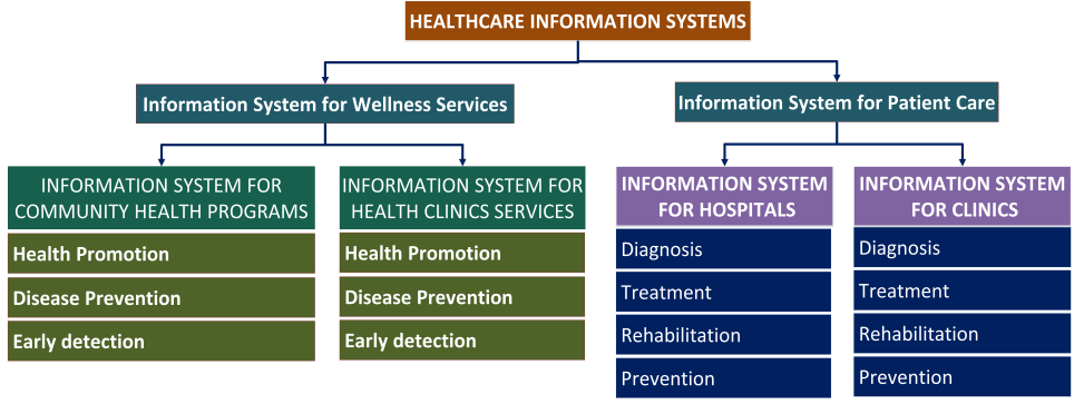 Information Systems in Healthcare | HEALTHCARE SERVICE DELIVERY