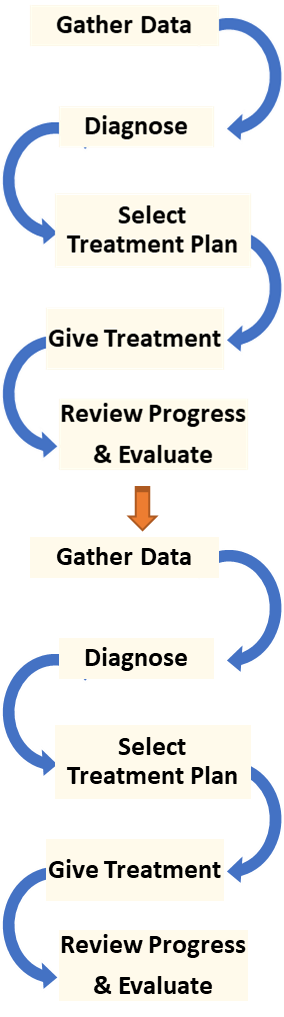 Treatment | HEALTHCARE SERVICE DELIVERY
